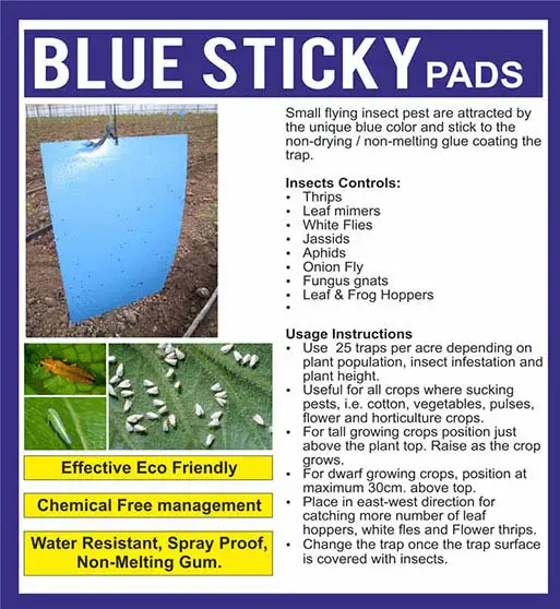 Blue Sticky Traps: Effective, Eco Friendly, Chemical Free Pest ...